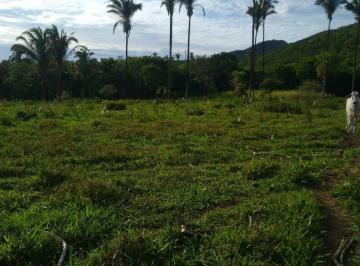 Rurais à venda no Brasil - Imovelweb