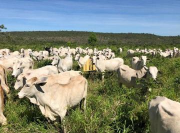 Rurais Fazenda à venda no Brasil - Imovelweb