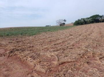 Rurais Fazenda à venda no Brasil - Imovelweb