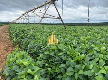 Rurais Fazenda à venda no Brasil - Imovelweb