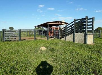 Rurais Fazenda à venda no Brasil - Imovelweb